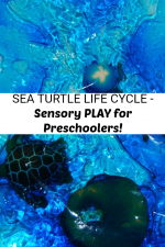 Ocean Theme Activities for Preschool: Sea Turtle Life Cycle & Sensory Bags
