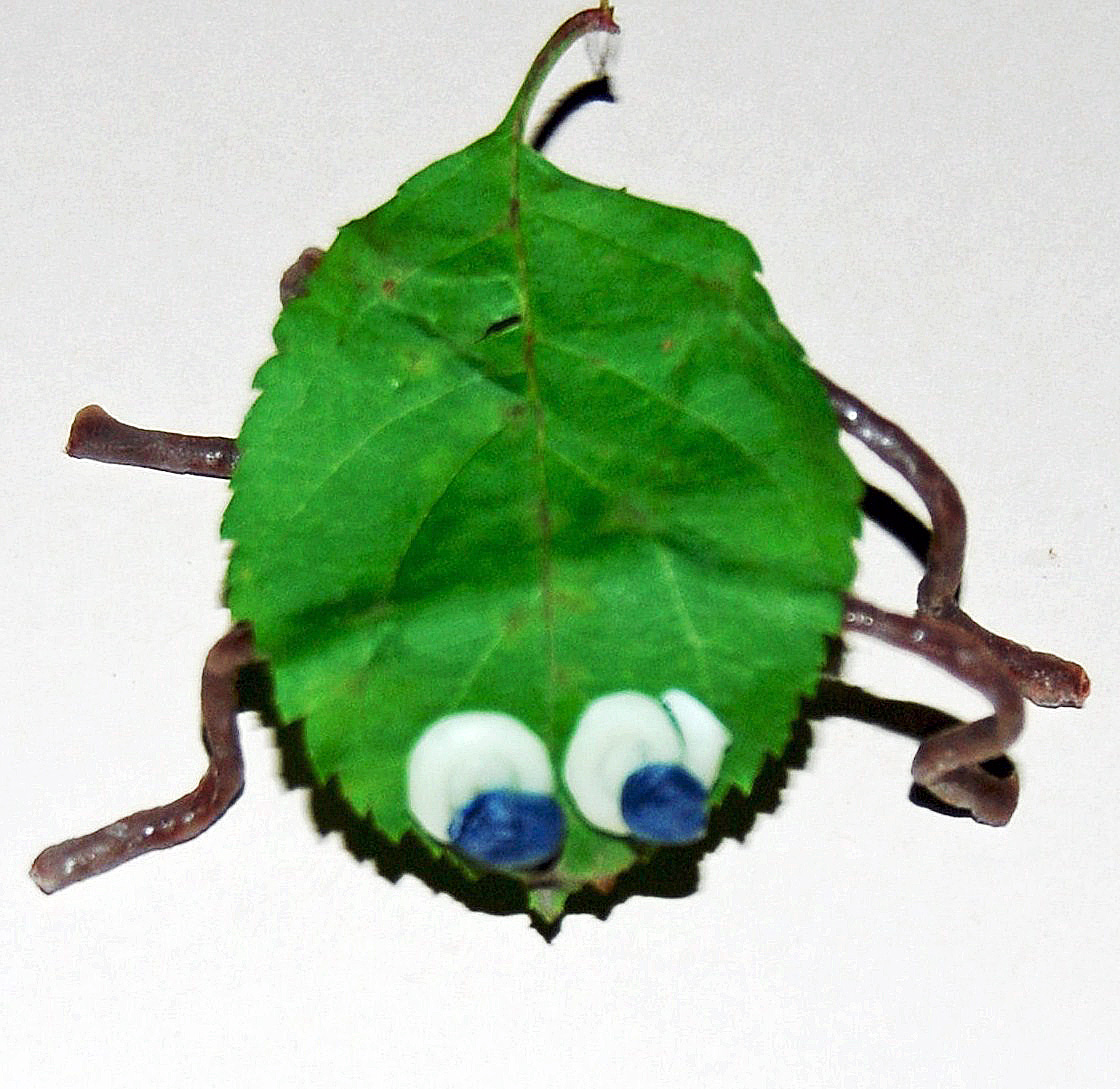 Playful Learning Activities with LEAVES in Preschool! • The Preschool ...