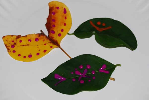 Playful Learning Activities with LEAVES in Preschool! • The Preschool ...