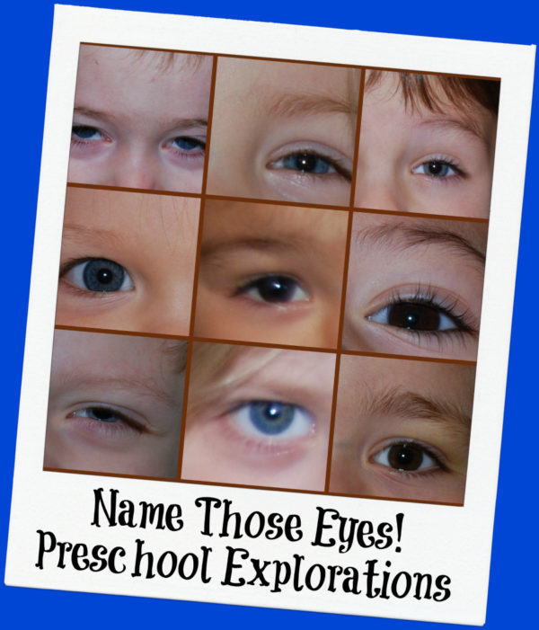 Preschool Science: Exploring Eye Colors in Families! • The Preschool ...