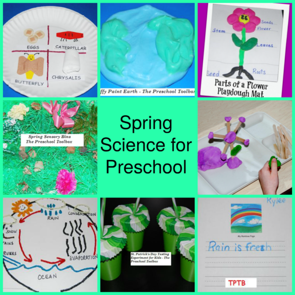 30+ Science Explorations to ENGAGE Preschoolers in ACTIVE Learning ...