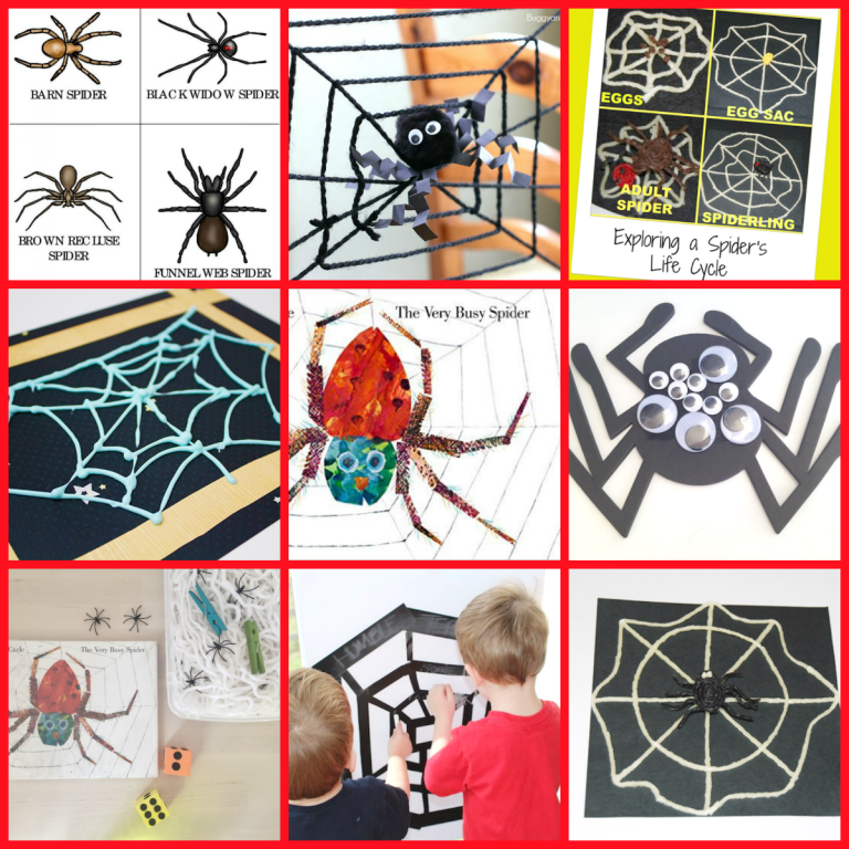 Eric Carle Theme and Author Study Activities for Preschool! • The ...