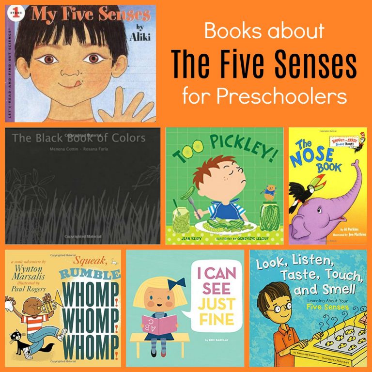 Exploring all 5 Senses in Preschool: Sorting Activities and Books • The ...